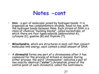 Basic genetics | PPT