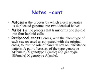 Basic genetics | PPT