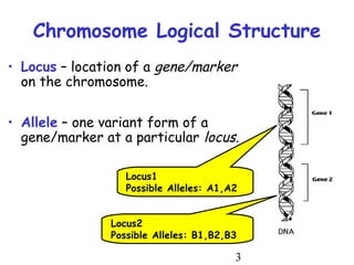 Basic genetics | PPT