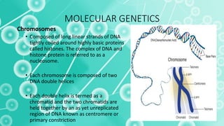 Basic genetics for modern blood banking.pdf