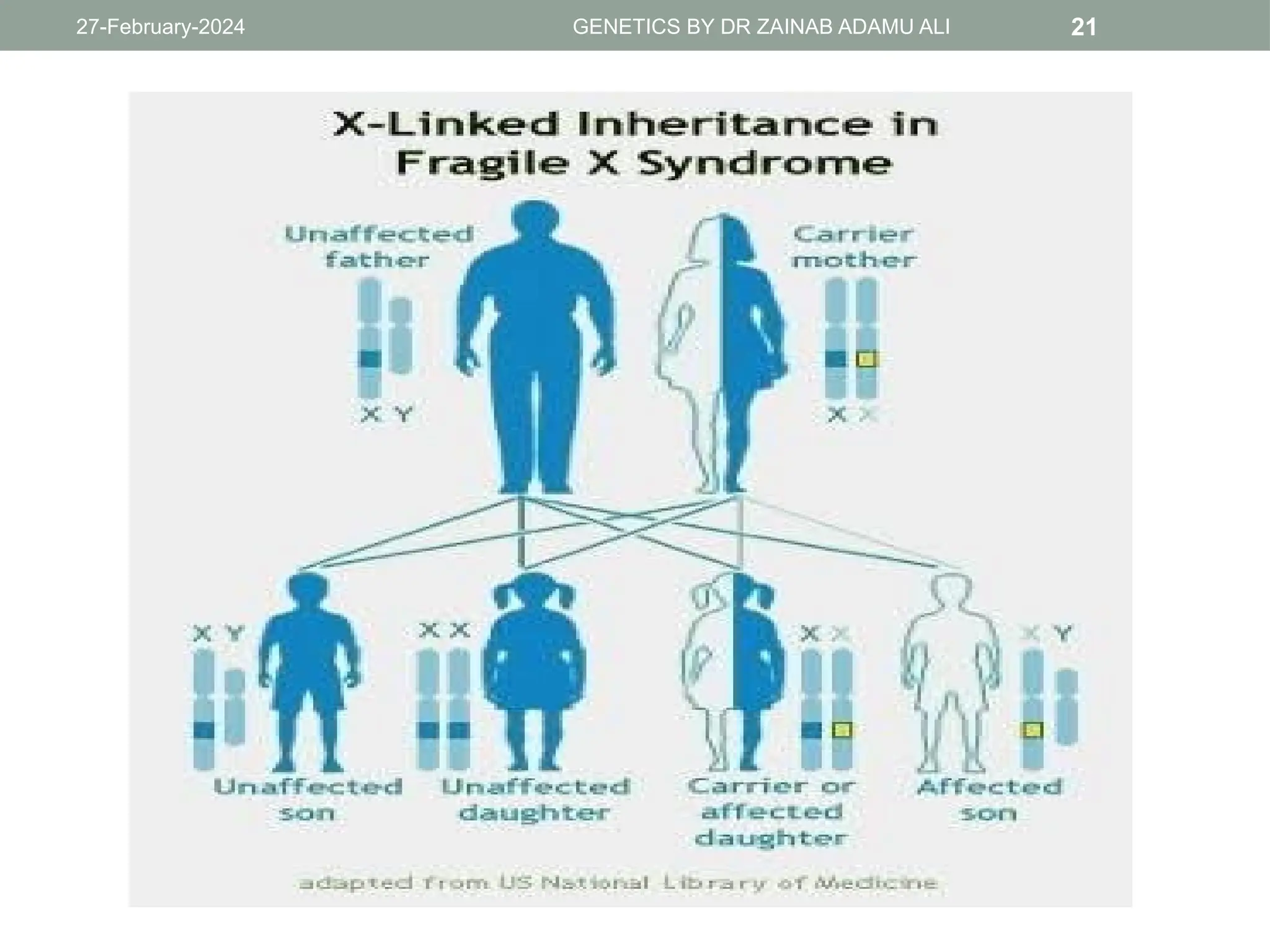 BASIC GENETICS, CLASSIFICATION OF GENETIC DISEASES AND SICKLE CELL DISEASE.pptx
