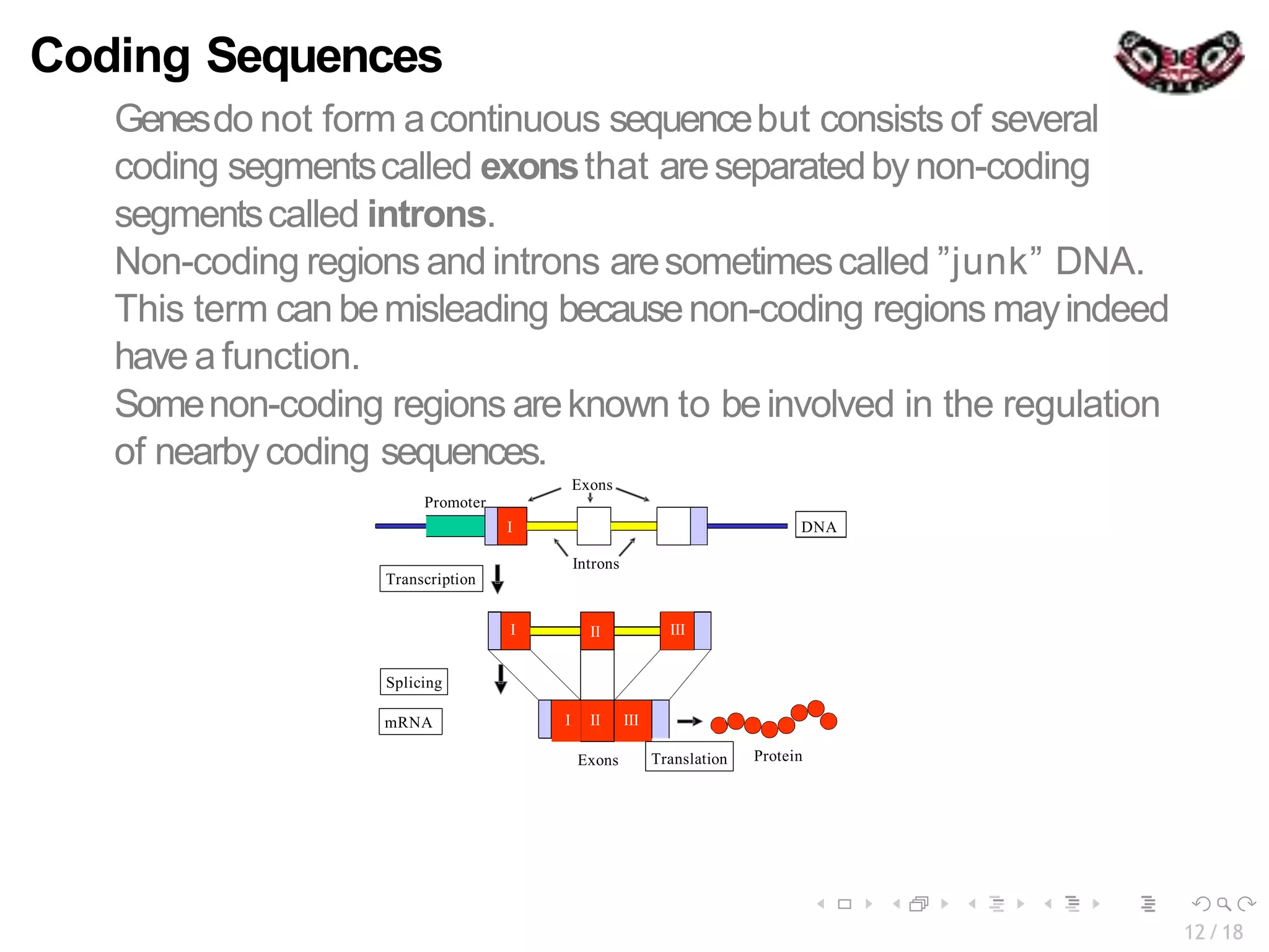 Basic genetics concepts and terminology | PPTX