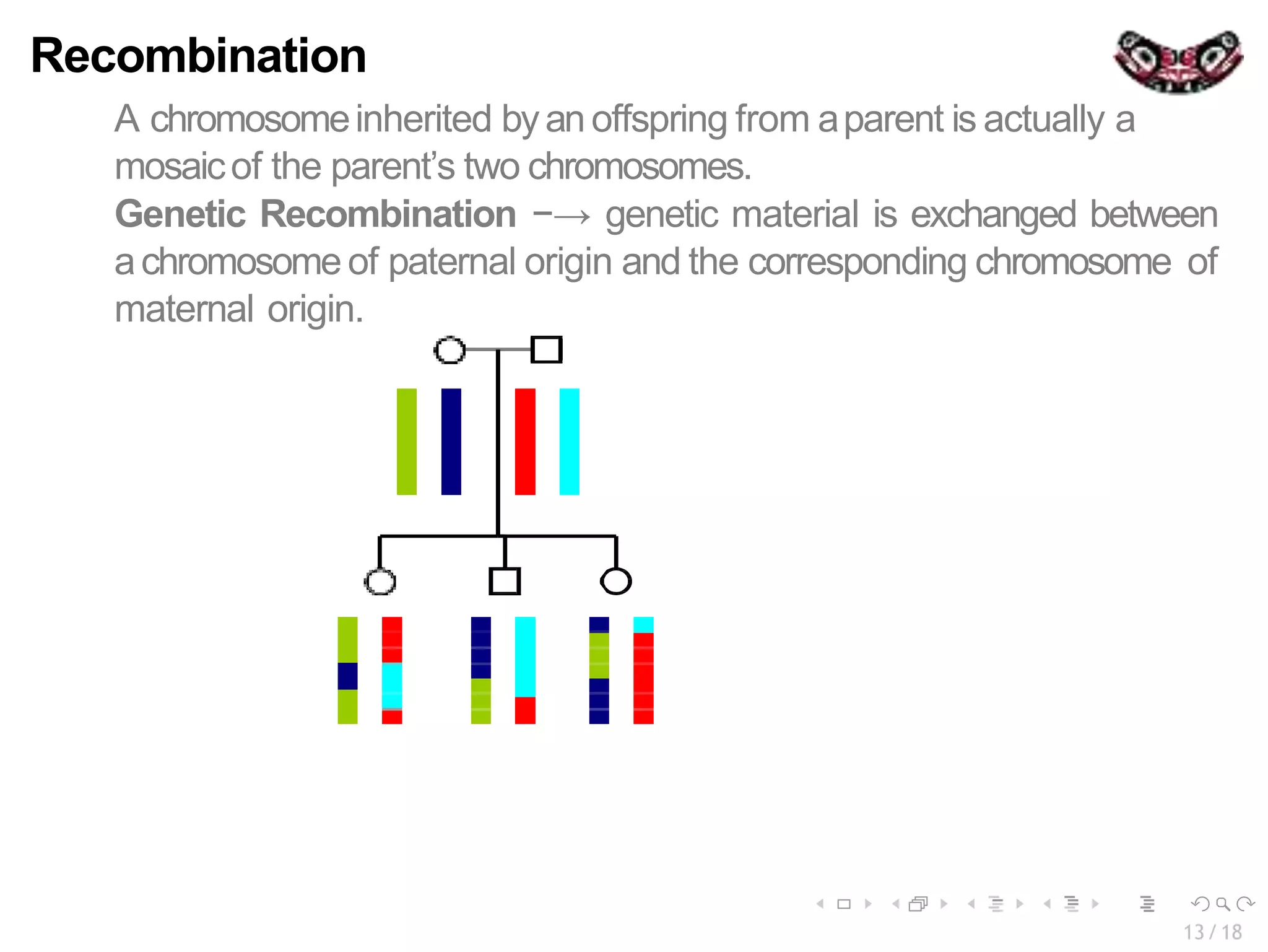 Basic genetics concepts and terminology | PPTX