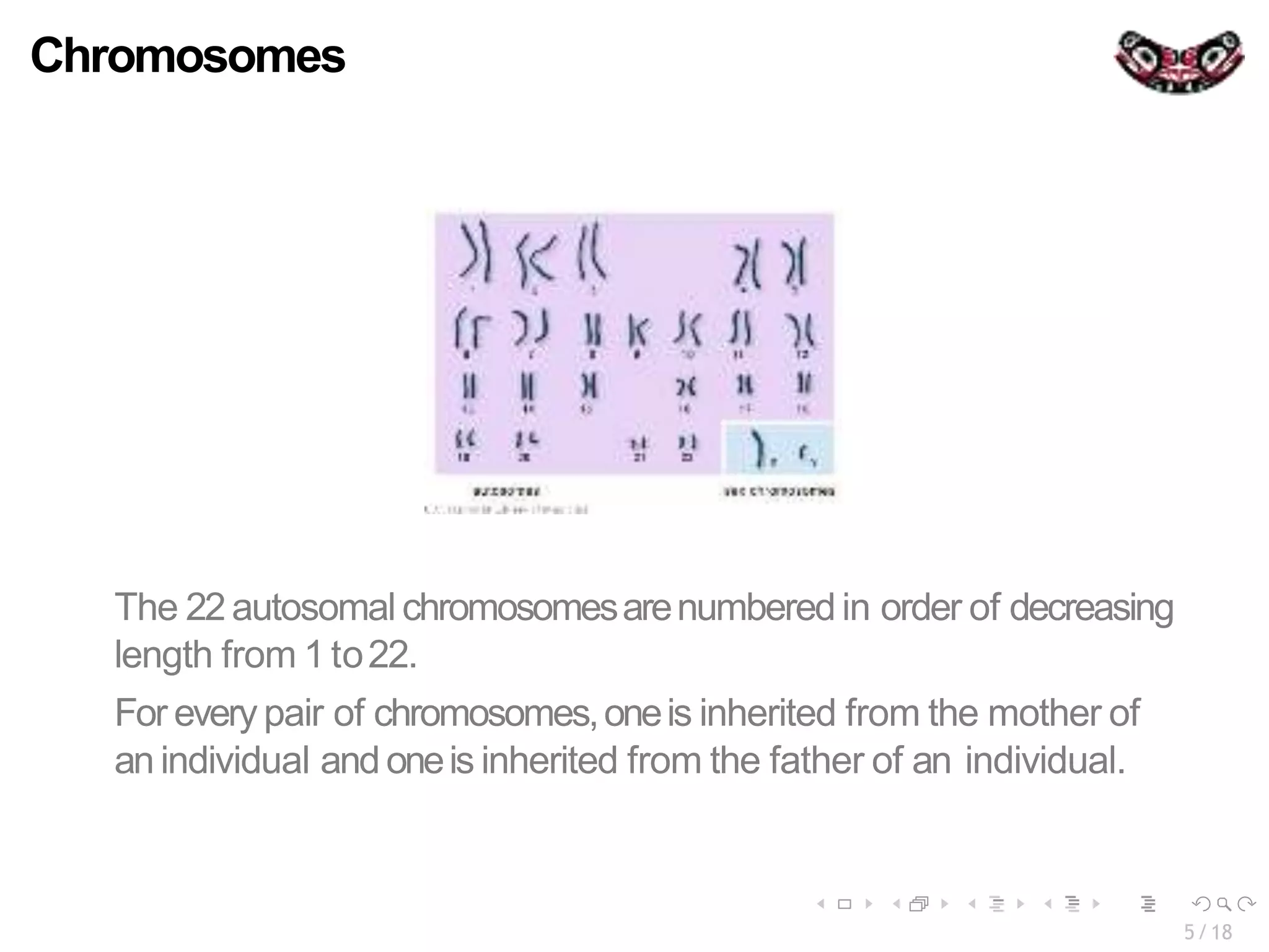 Basic genetics concepts and terminology | PPTX