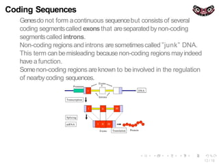 Basic genetics concepts and terminology | PPTX