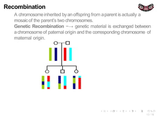 Basic genetics concepts and terminology | PPTX