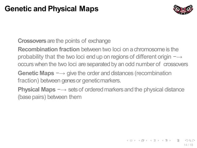 Basic genetics concepts and terminology | PPTX