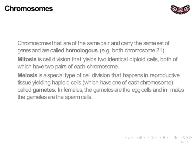 Basic genetics concepts and terminology | PPTX