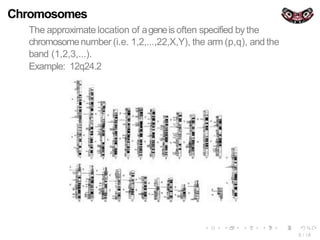 Basic genetics concepts and terminology | PPTX
