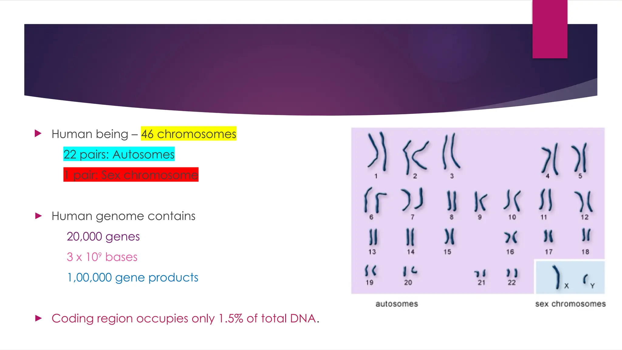 Basic genetics for dermatologists and skin diseases | PPTX