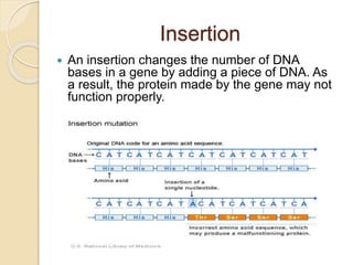 Basic genetics ,mutation and karyotyping | PPT