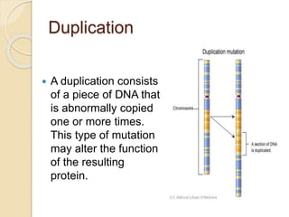 Basic genetics ,mutation and karyotyping | PPT