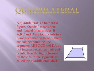 Basic geometrical ideas | PPTX