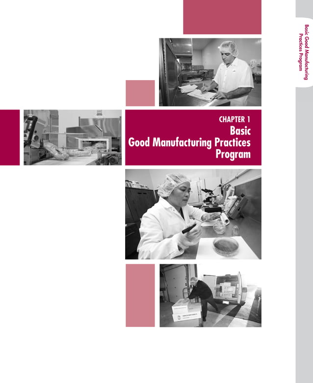 basic_gmp_guidebook.pdf