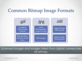 Basic graphic bi_ | PPT