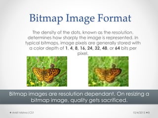 Basic graphic bi_ | PPT
