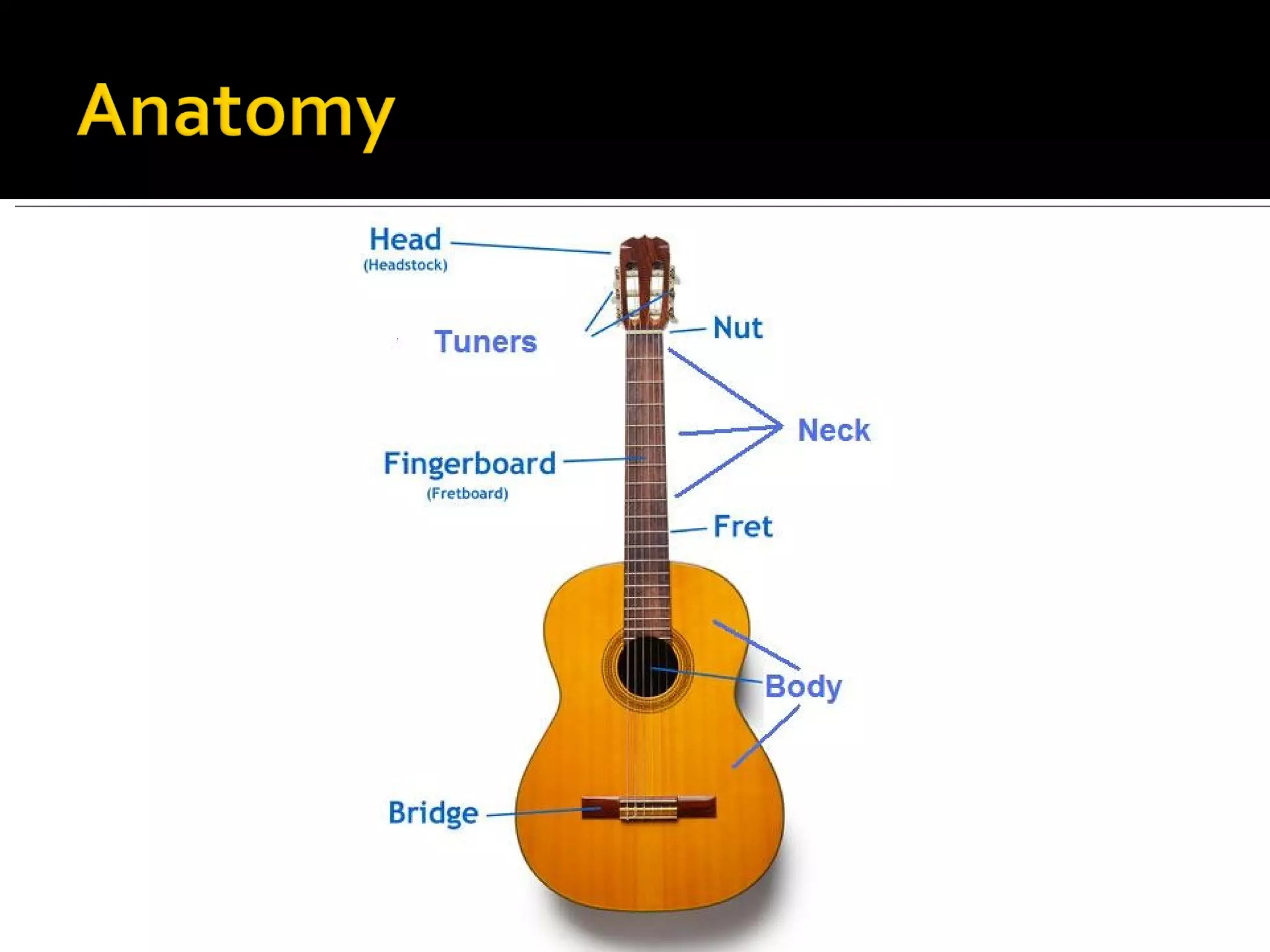 Basic guitar anatomy | PPT