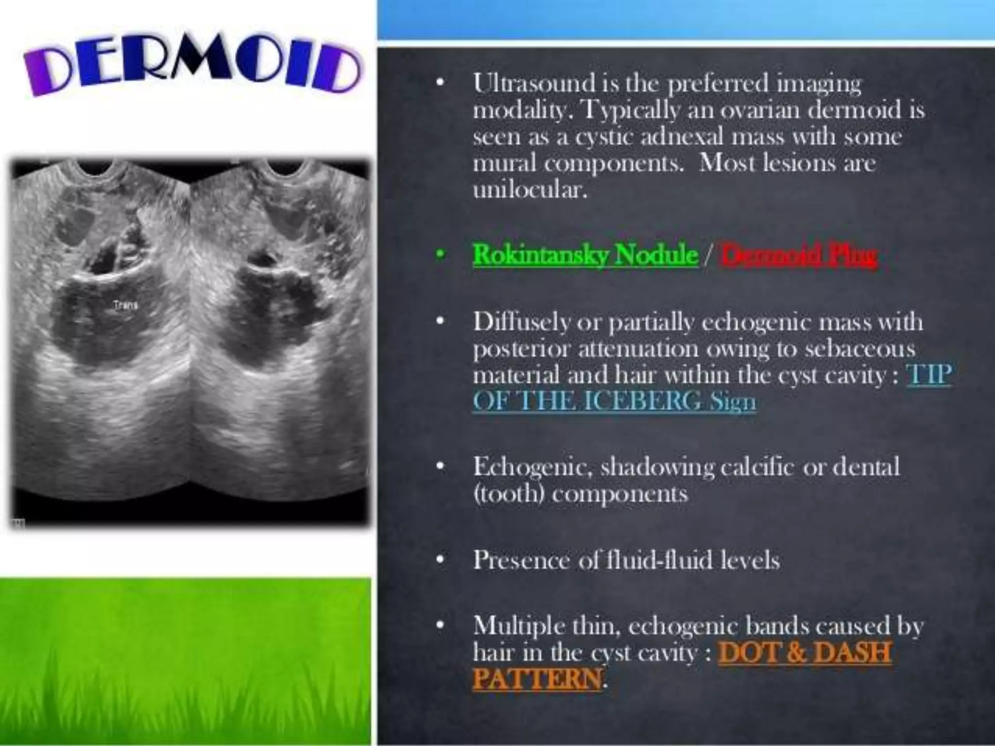 Basic gynae ultrasound | PPTX