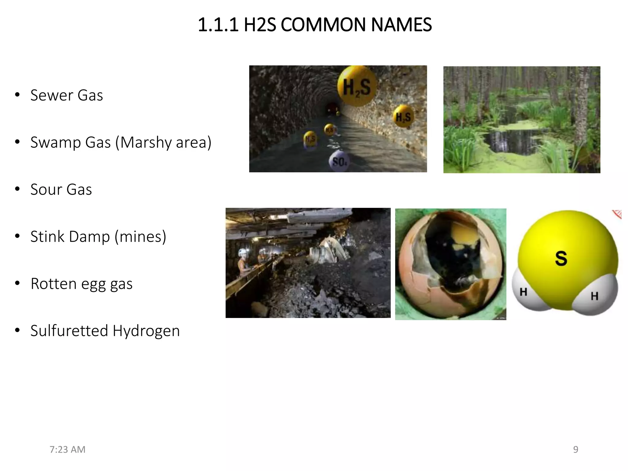 Basic H2S training | PPTX
