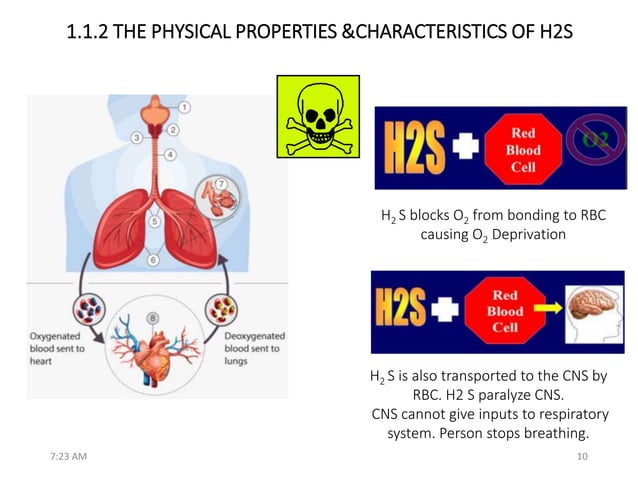 Basic H2S training | PPTX | Lung and Respiratory Health | Diseases and ...