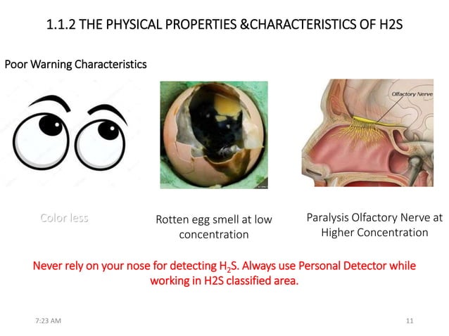 Basic H2S training | PPTX | Lung and Respiratory Health | Diseases and ...