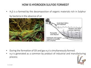 Basic H2S training | PPTX
