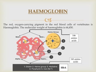 Basic haematology technique | PPTX
