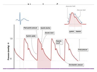Basic haemodynamic monitoring | PPTX