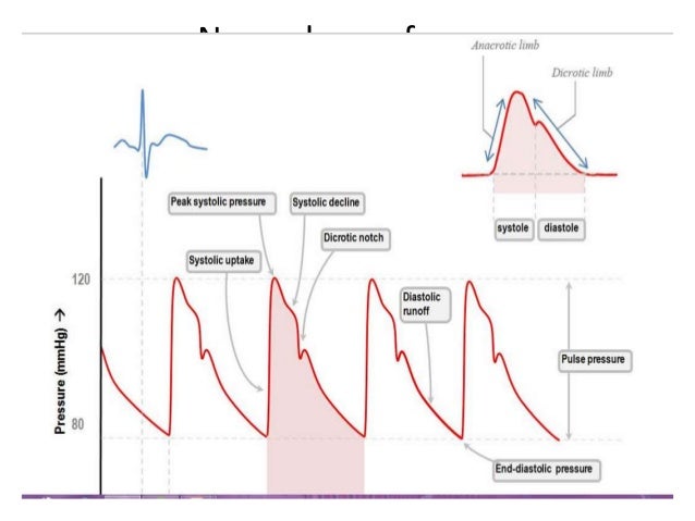 Basic haemodynamic monitoring