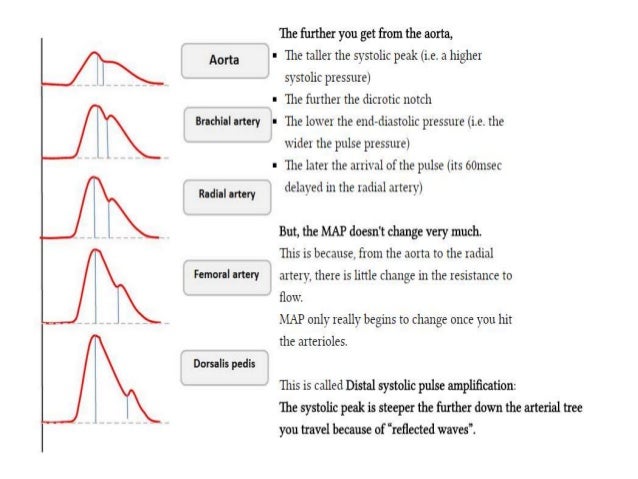 Basic haemodynamic monitoring