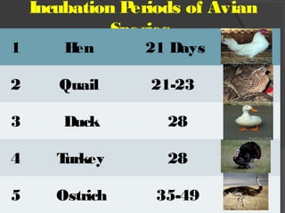 Basic hatchery requirement | PPT