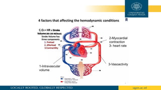 Basic hemodinamic Basic hemodinamic Basic hemodinamic | PPTX