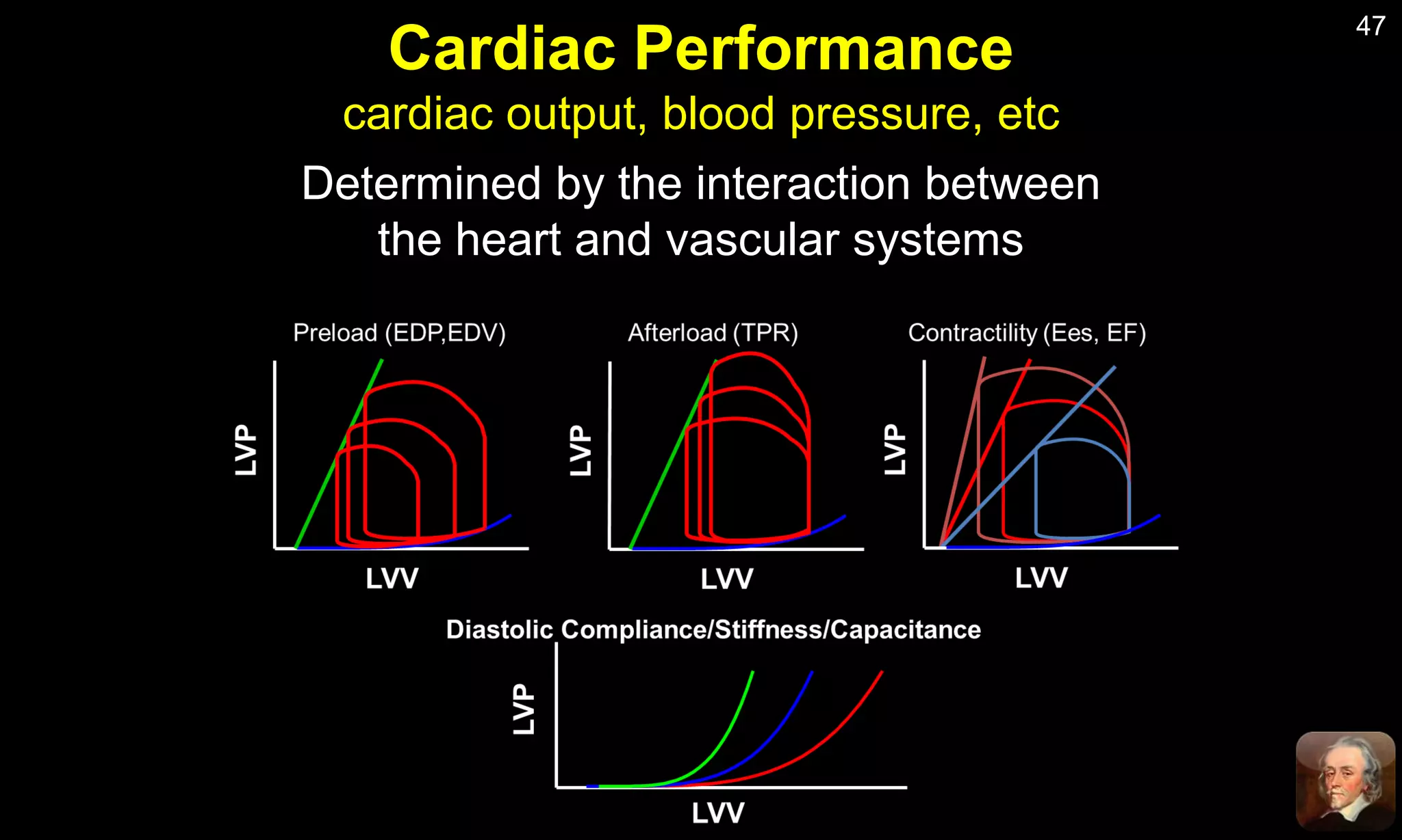 Basic hemodynamic principles viewed through pressure volume relations | PDF