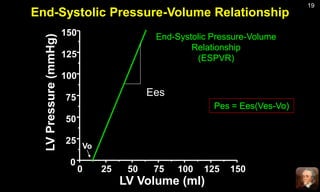 Basic hemodynamic principles viewed through pressure volume relations | PPT