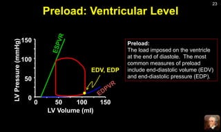 Basic hemodynamic principles viewed through pressure volume relations | PPT