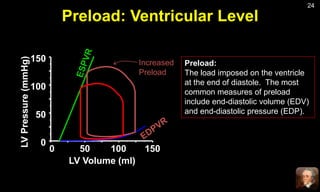 Basic hemodynamic principles viewed through pressure volume relations | PPT