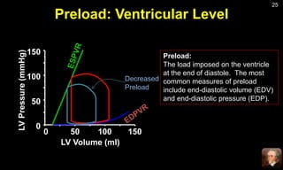 Basic hemodynamic principles viewed through pressure volume relations | PPT