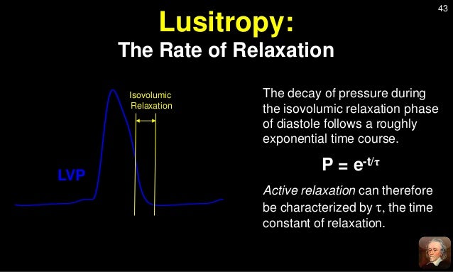 Basic hemodynamic principles viewed through pressure volume relations