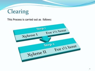 Basic Histopathological Techniques.pptx