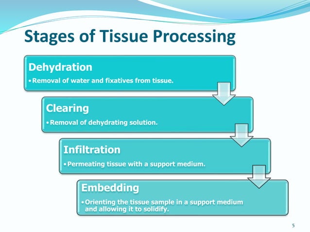Basic Histopathological Techniques.pptx | Chemistry | Science