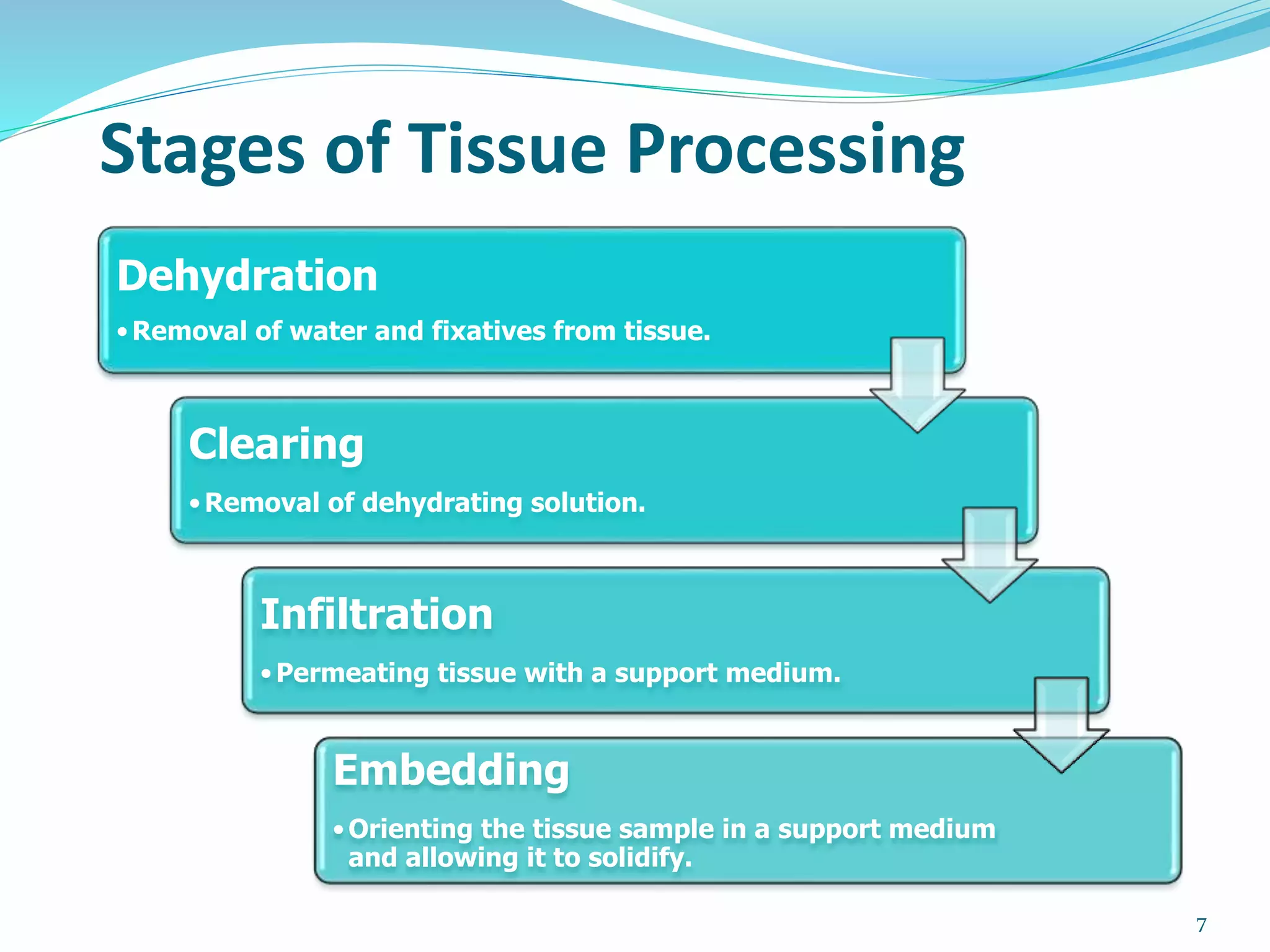 Basic Histopathological Techniques (1).pptx