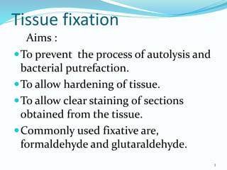 Basic Histopathological Techniques (1).pptx