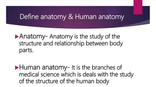 Basic human anatomy 1 (7616) | PPTX