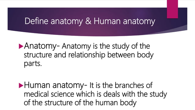Basic human anatomy 1 (7616) | PPTX