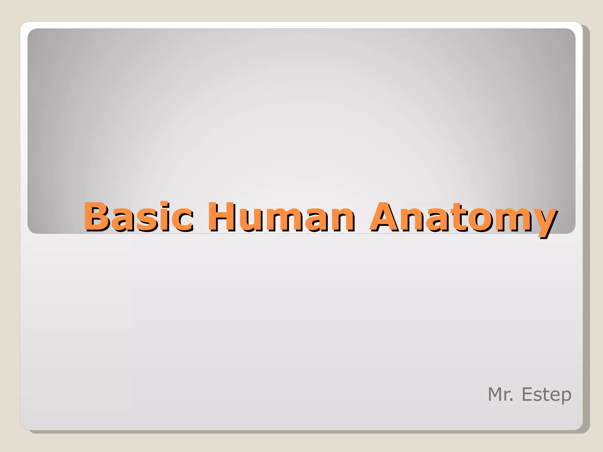 Basic Human Anatomy.Ppt Powerpoint 1 | PPT