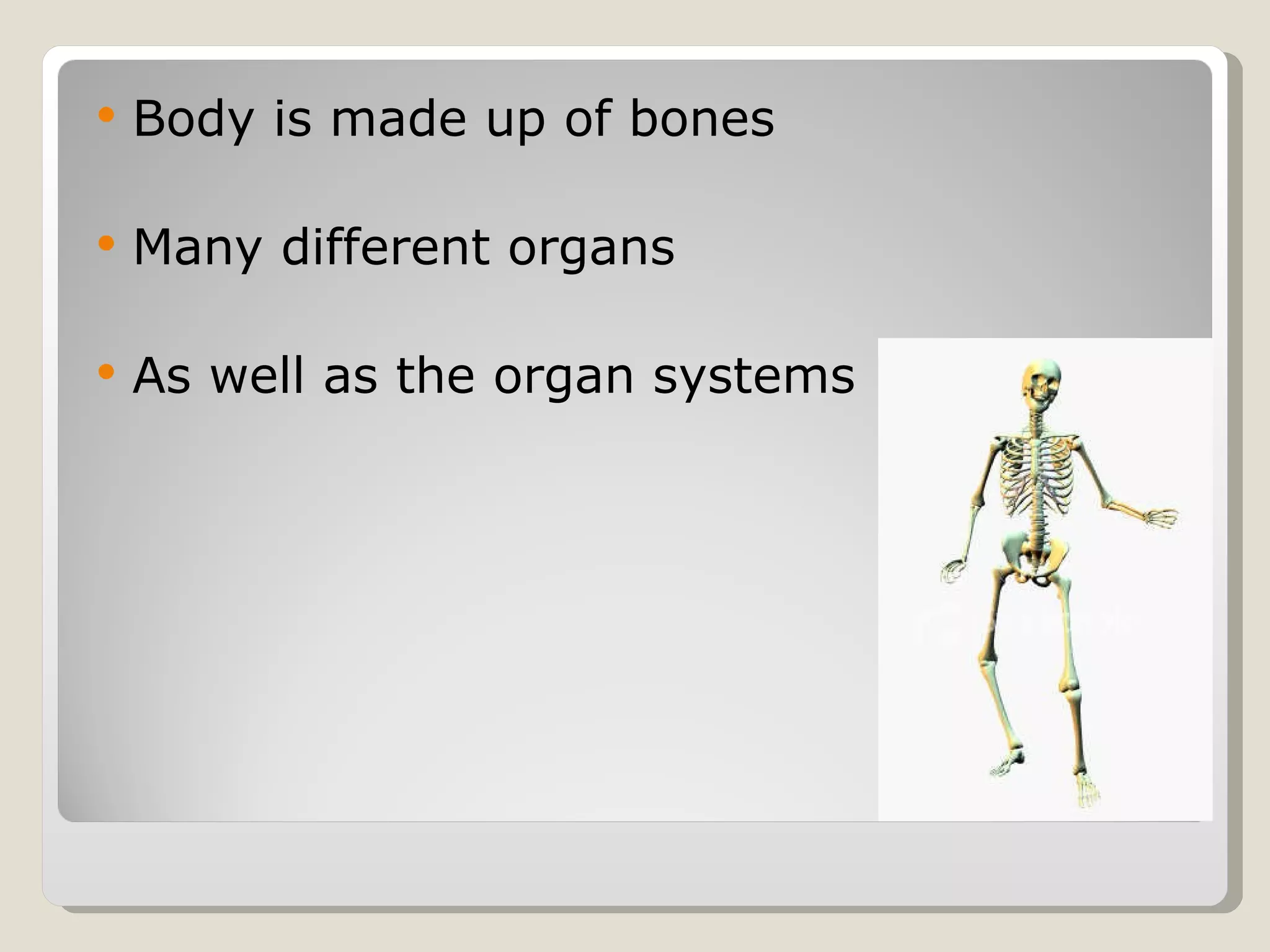 Basic Human Anatomy.Ppt Powerpoint 1 | PPT