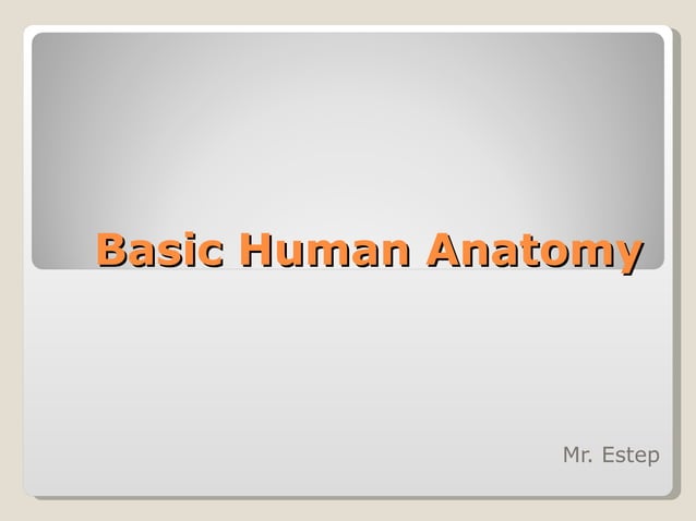 Basic Human Anatomy.Ppt Powerpoint 1 | PPT