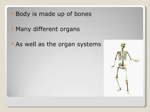 Basic Human Anatomy.Ppt Powerpoint 1 | PPT