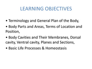 BASIC HUMAN ANATOMY AND.pptx