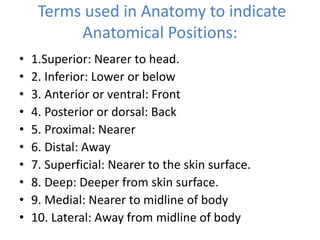 BASIC HUMAN ANATOMY AND.pptx